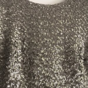 Zara | Dresses | Zara Silver Sequence Open Back Dress | Poshmark